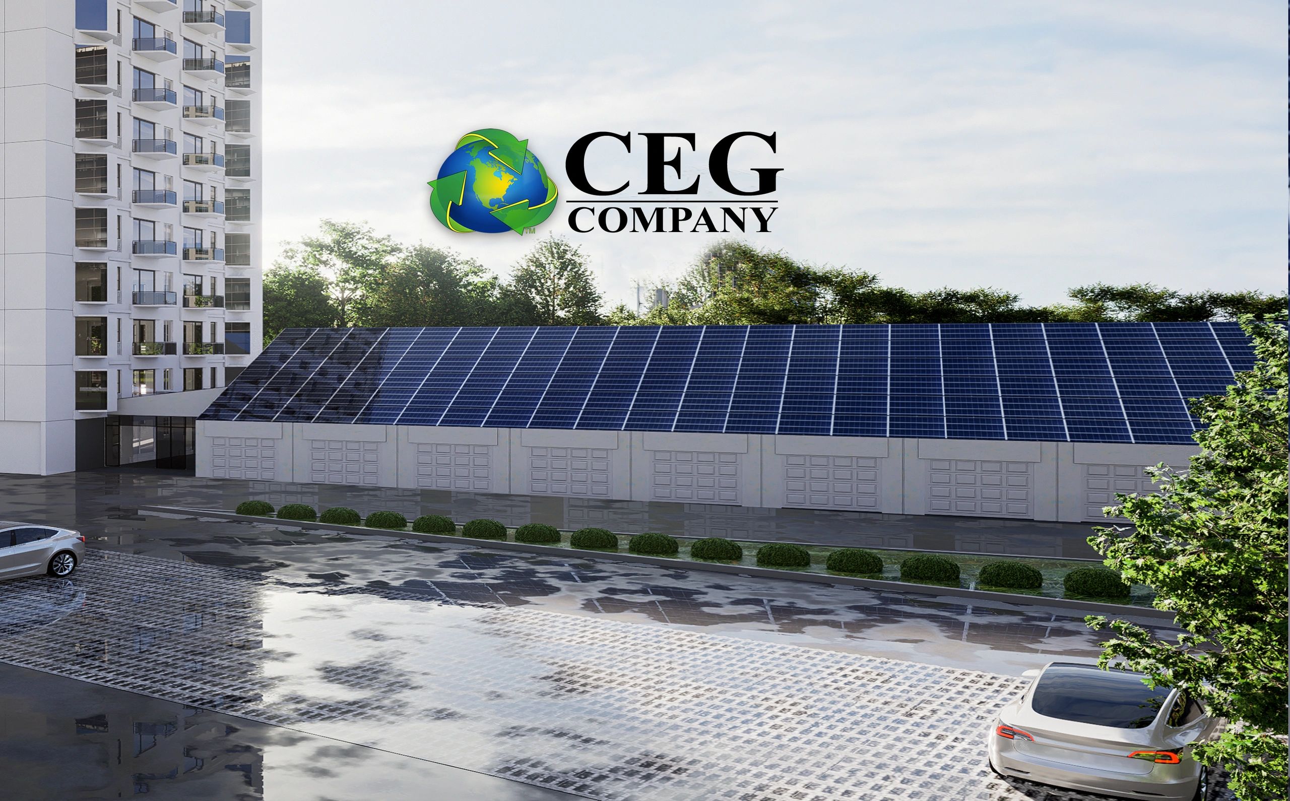 CEG Company Inc.