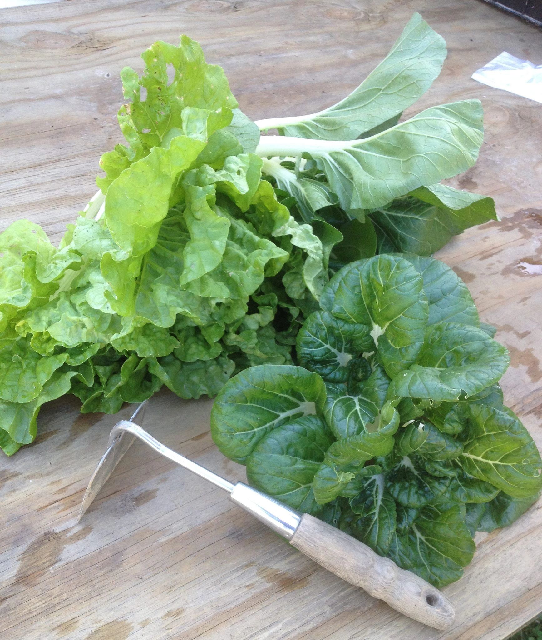 Beautiful Edibles - Fresh Local Produce, Healthy Food Delivered