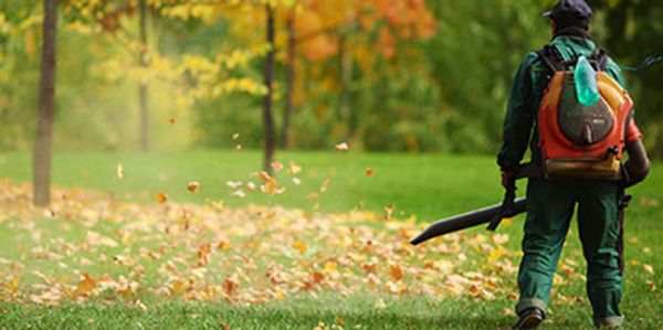 Garden Guys Landscaping