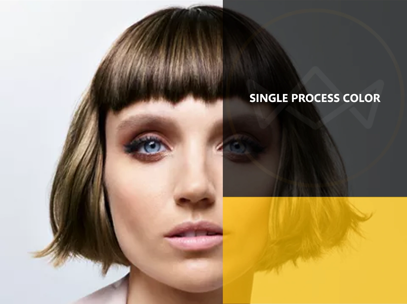 Single Process Color