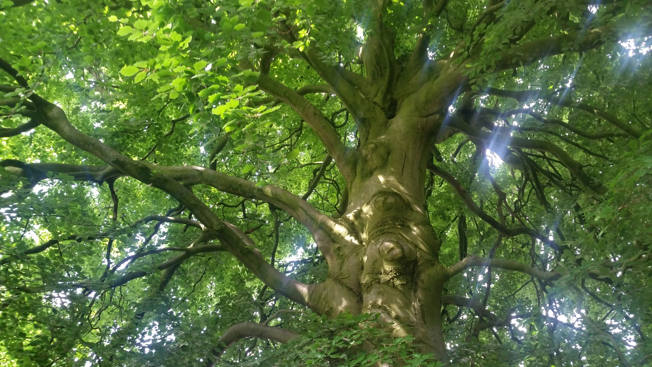 Simple Original Sculpture