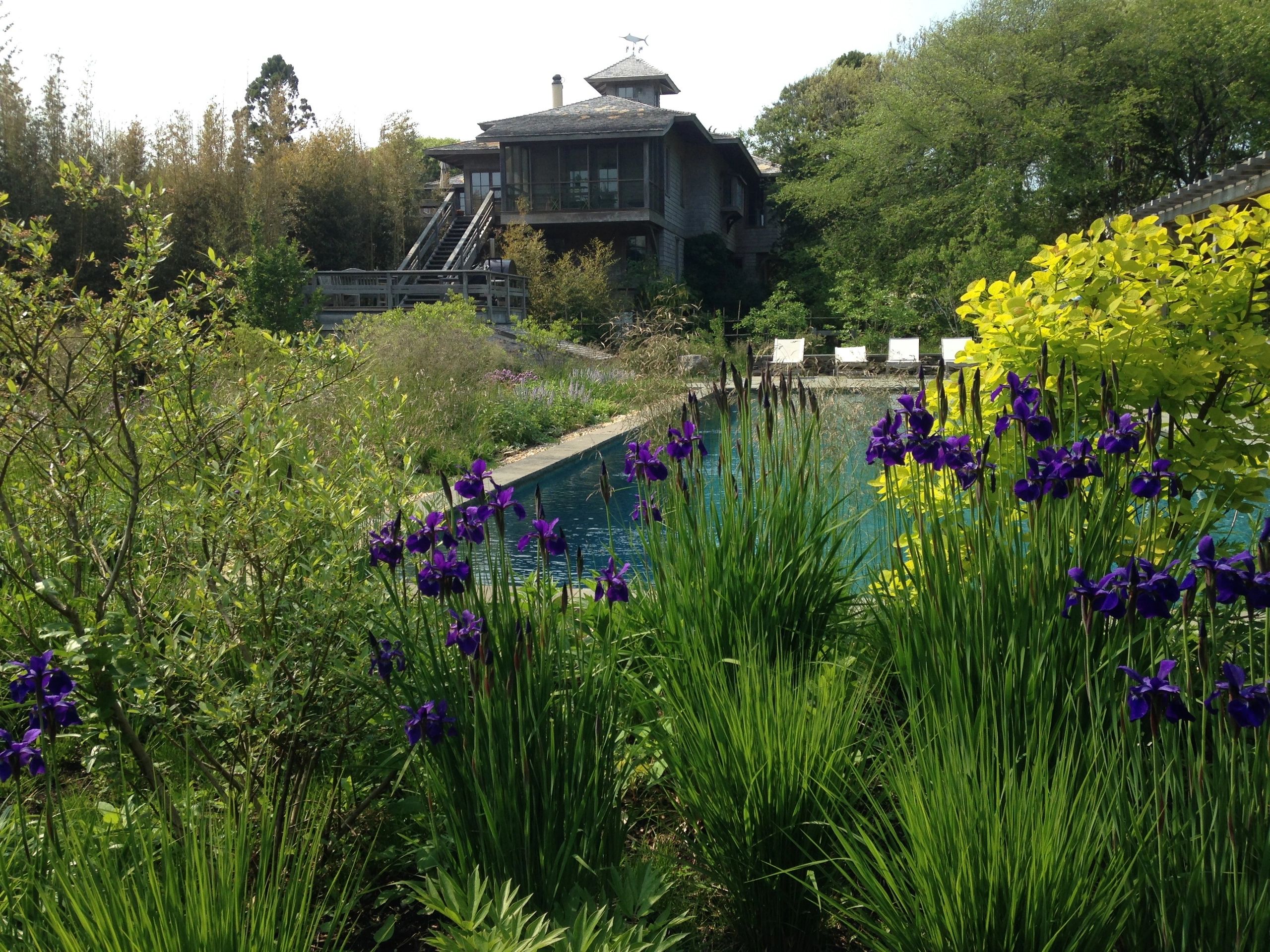 Hotbotany - Landscape Design, Free Consultation