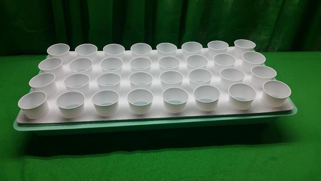 Quick lookup of Tray Topper sizes needed.