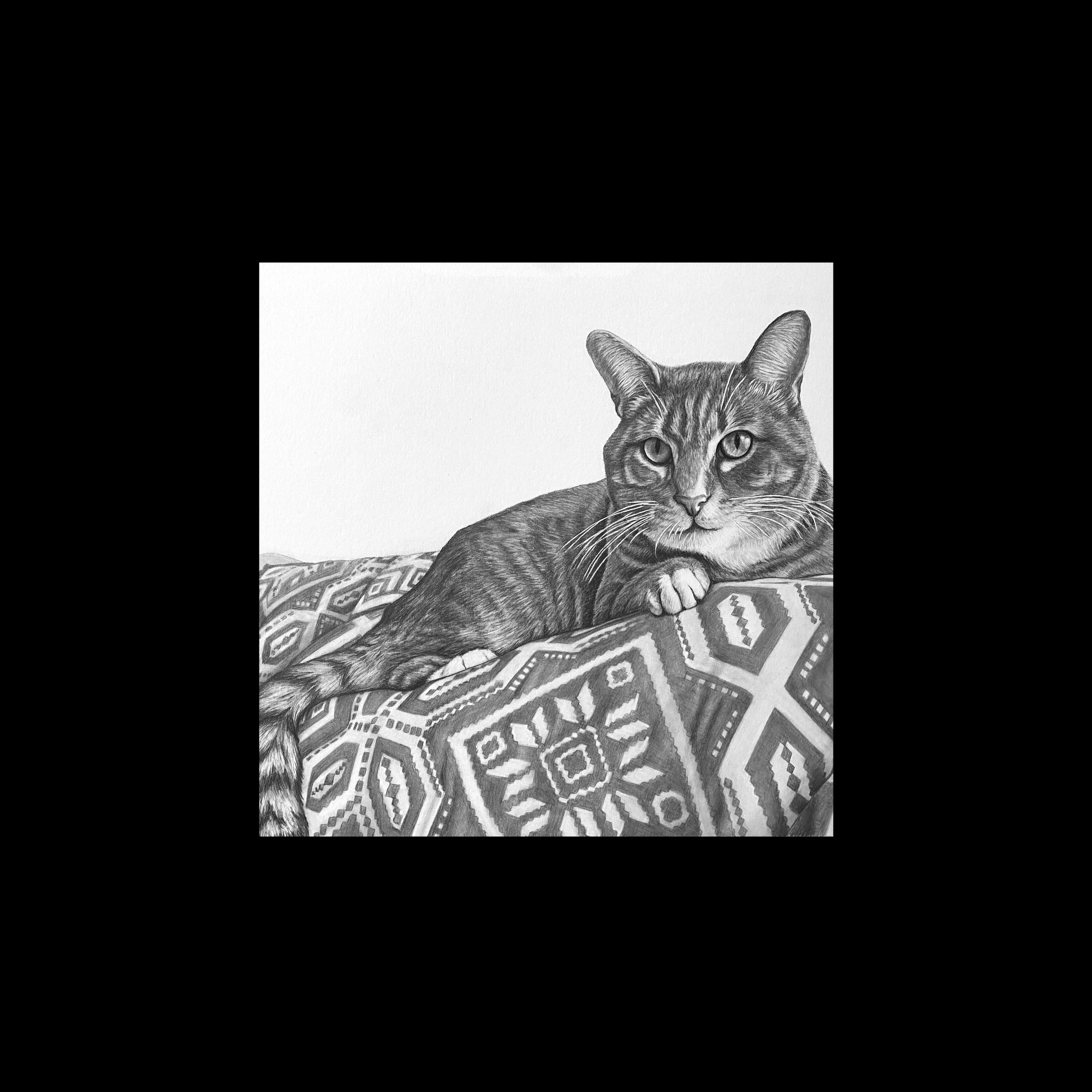 Sandy Swan - Custom Artwork, Art Commissions, Custom Drawings