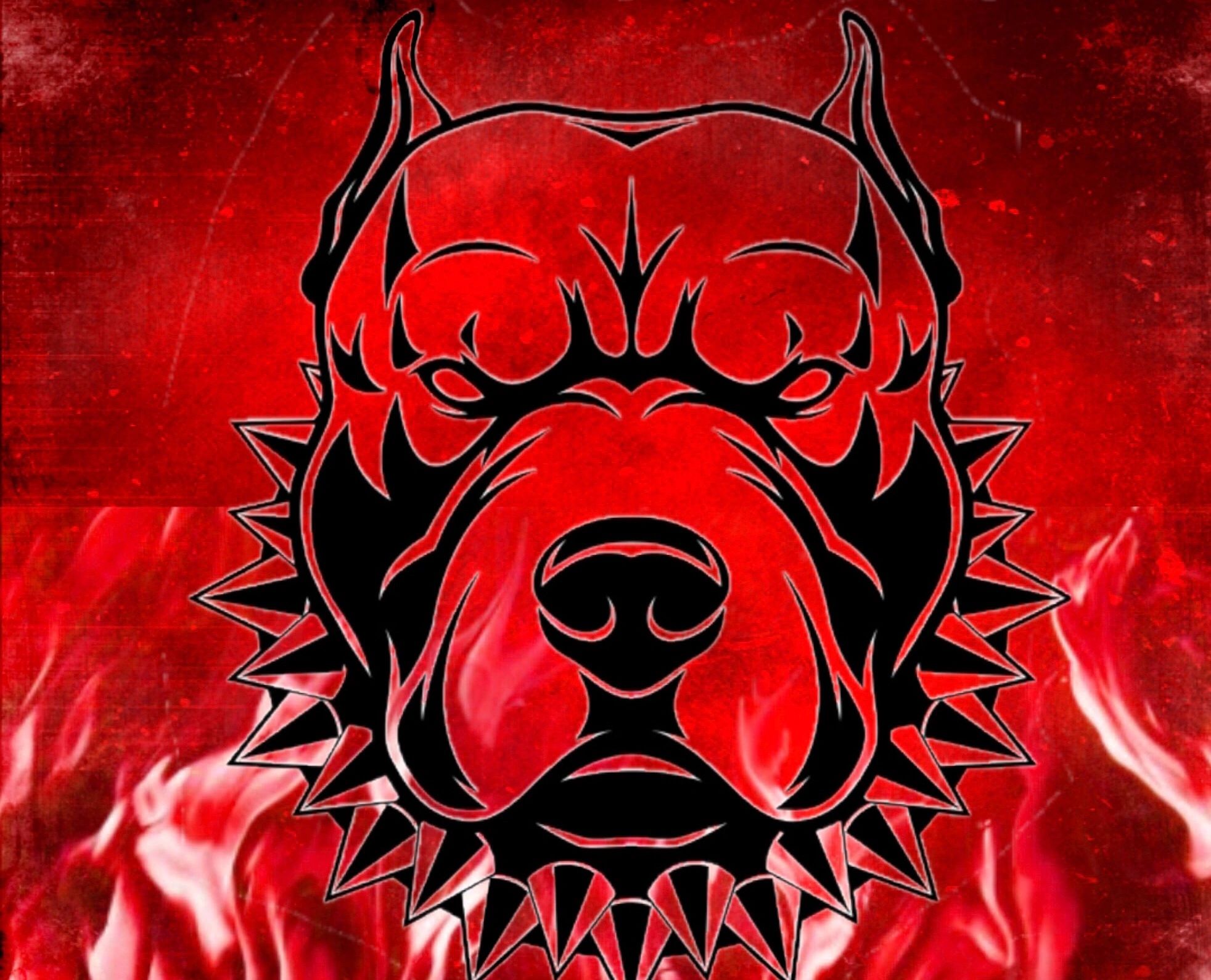 Alpha Dawg Athletics