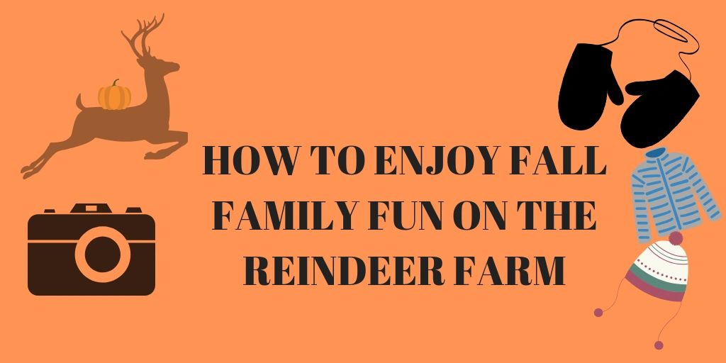 How to enjoy fall family fun at the Reindeer Farm!