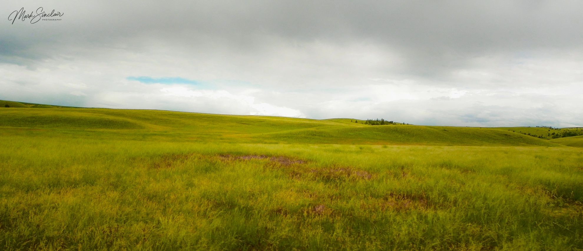 Simplicity in Landscape Photography