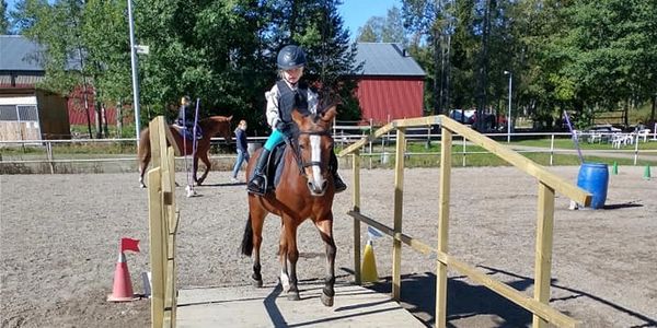 Working equitation | Arboga Ryttarsällskap