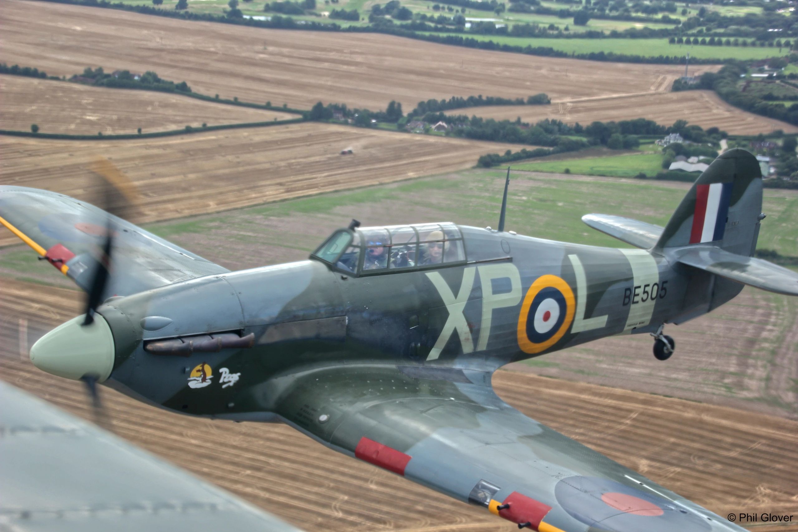 Buchon Datafile