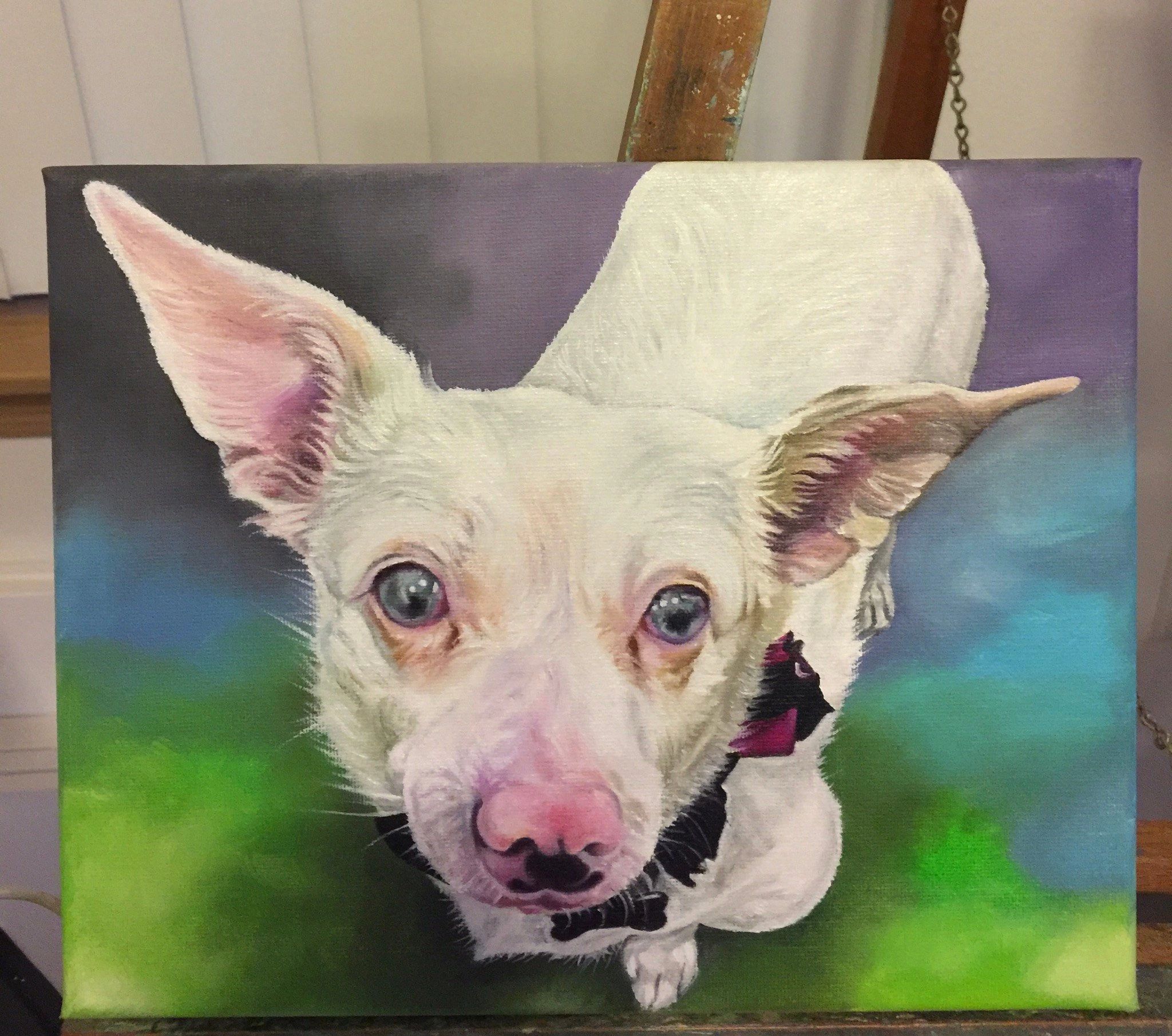 Angel Pet's campaign winner