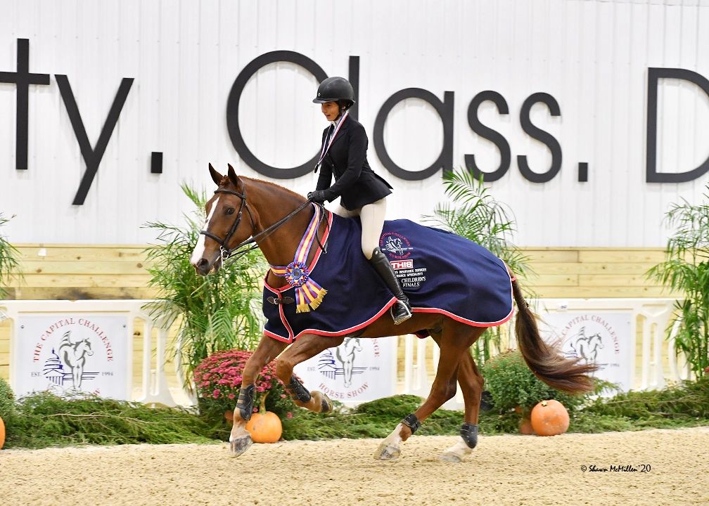 Baxter Lane Farm - Hunters Equitation Jumpers, Horse, Horses for Sale