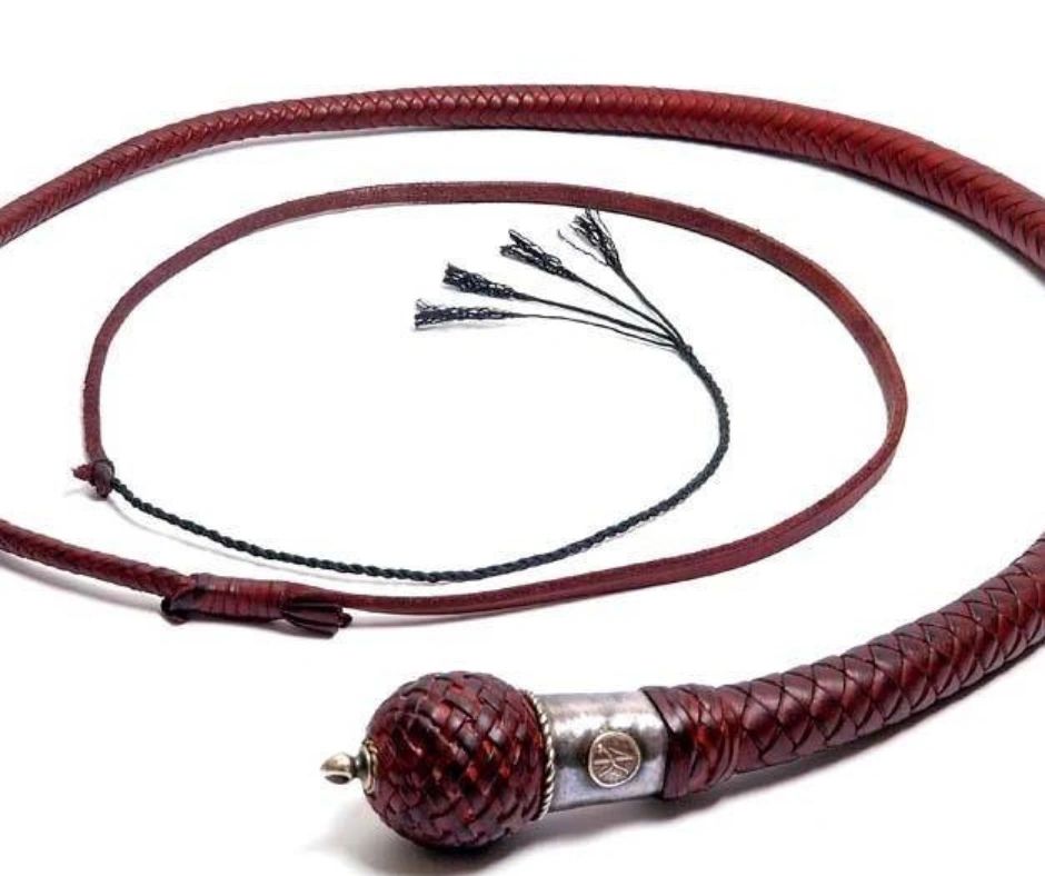 VUOI IMPARARE AD UTILIZZARE LA FRUSTA? ECCO IL PERCORSO FORMATIVO