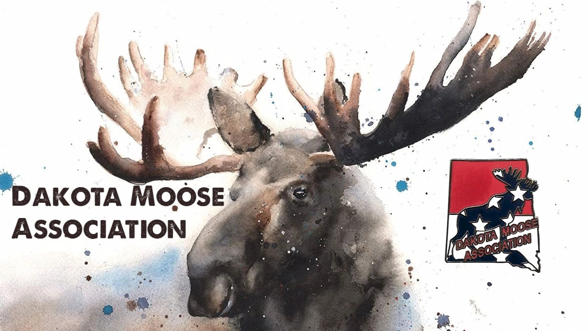 Dakota Moose Association
