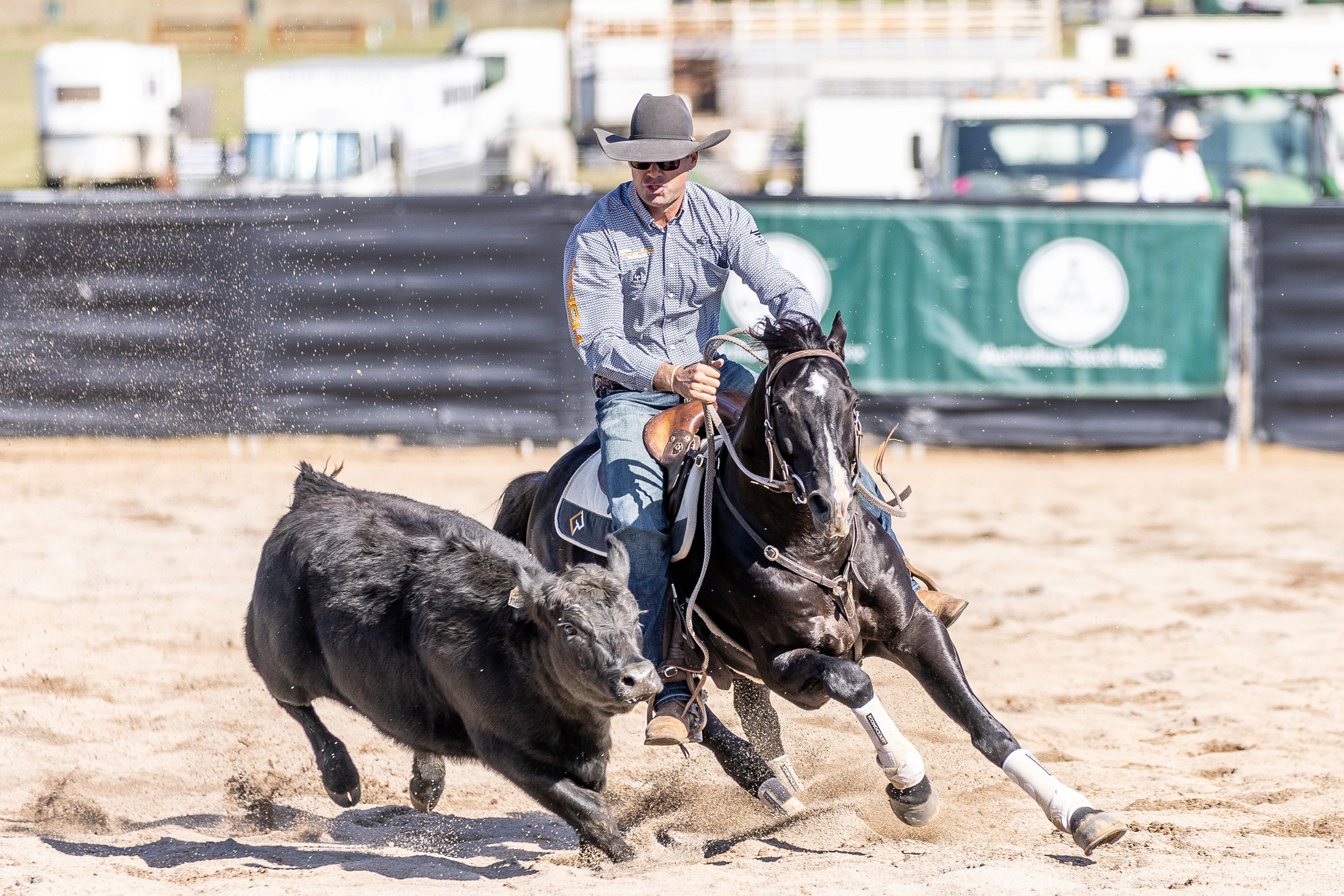 Penwood Creations - Campdraft and Equine Photography, Family and ...