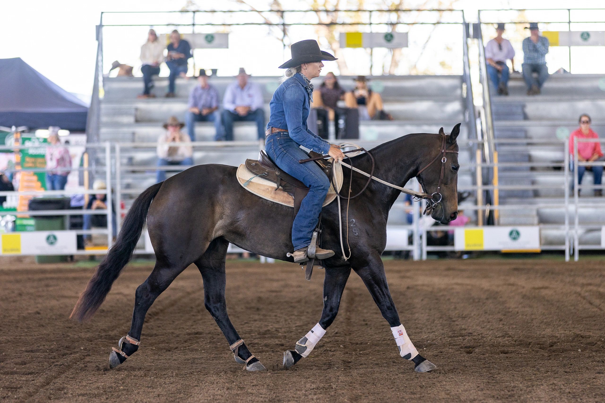 Penwood Creations - Campdraft and Equine Photography, Family and ...