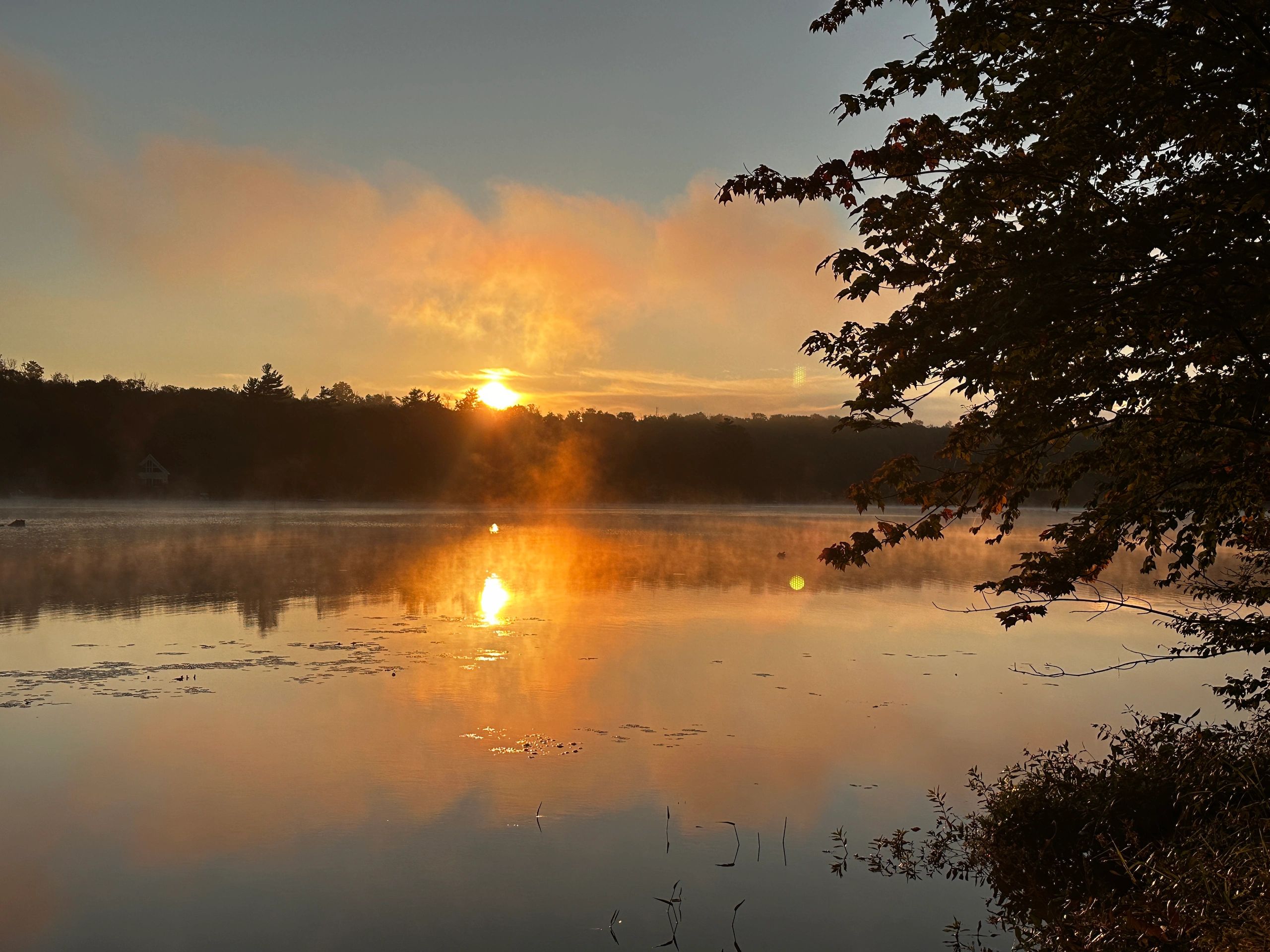 Lake Henry Cottagers Association