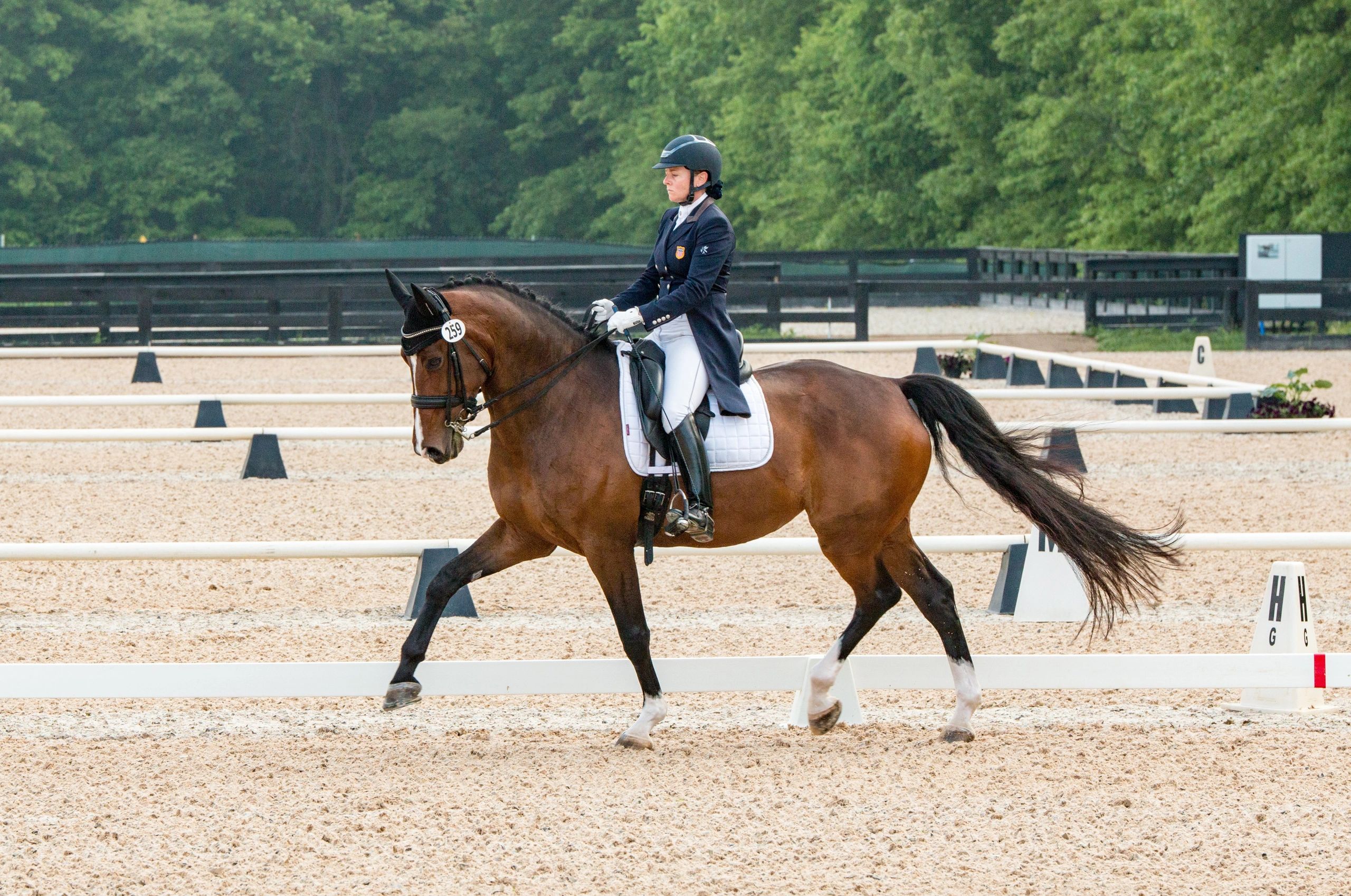 Dressage, Trainer - Kate Poulin Dressage - Mantua, Ohio