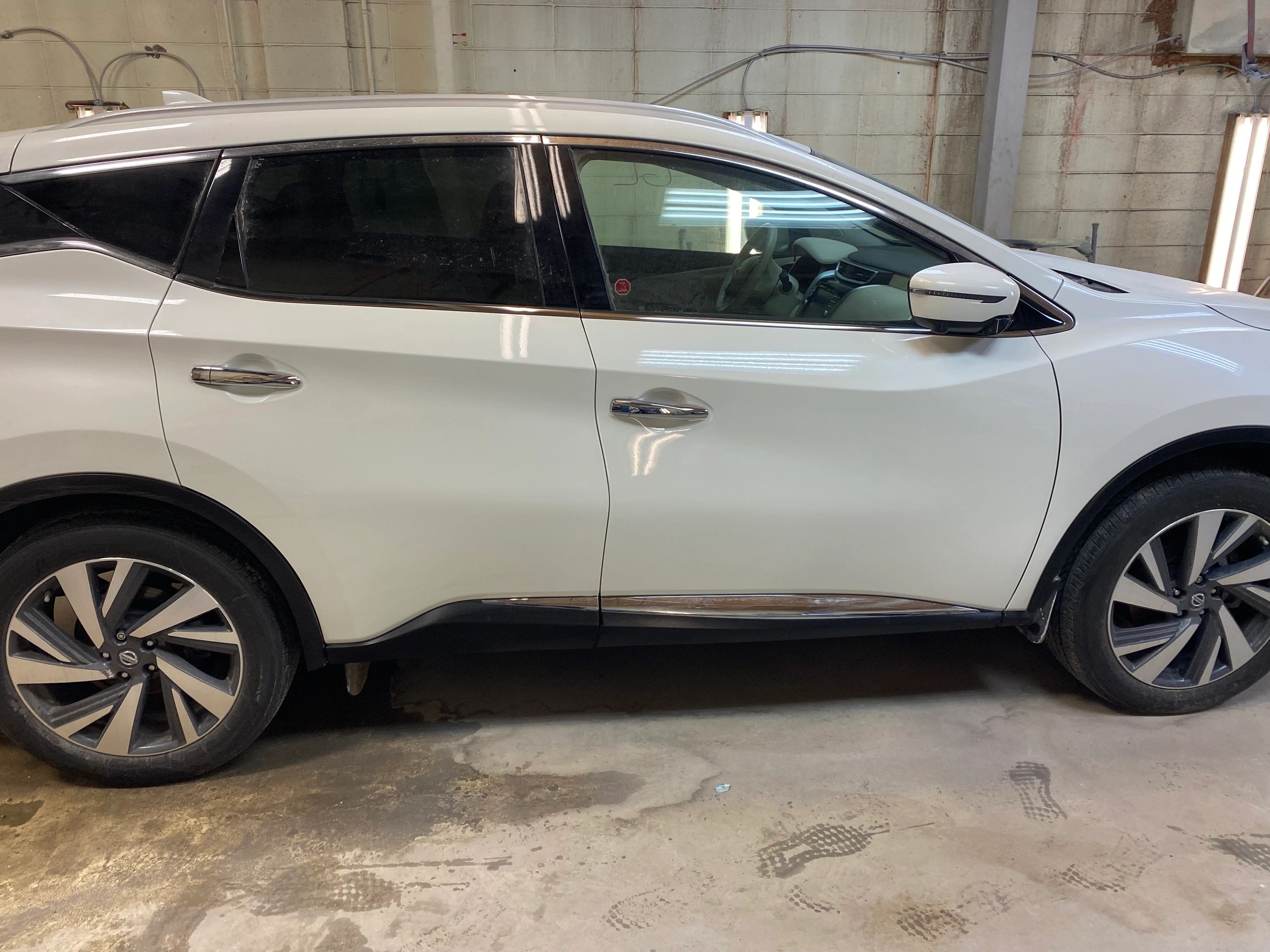 Pearl Finish Painting