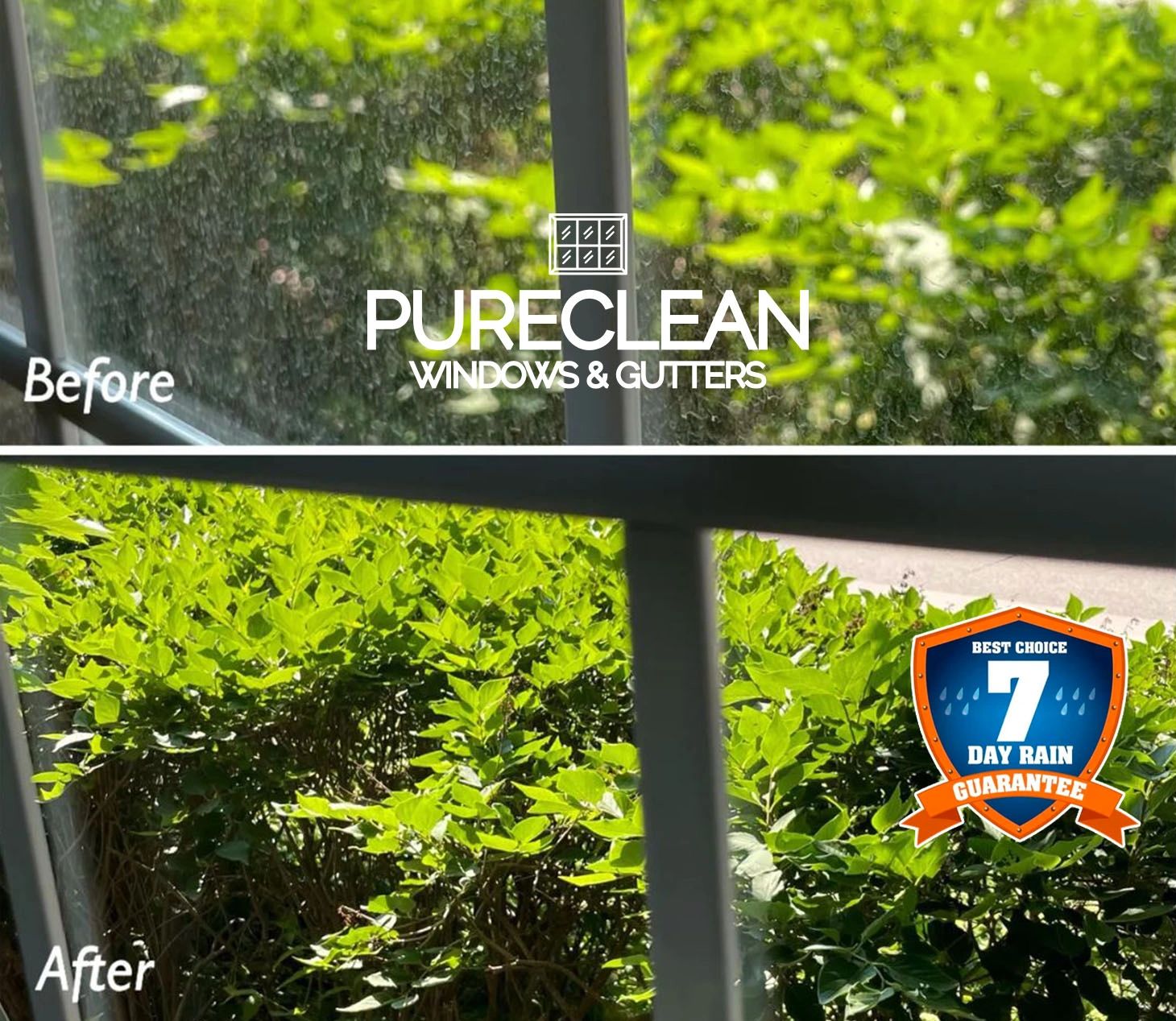 Professional Window Cleaning Services | PURECLEAN Windows