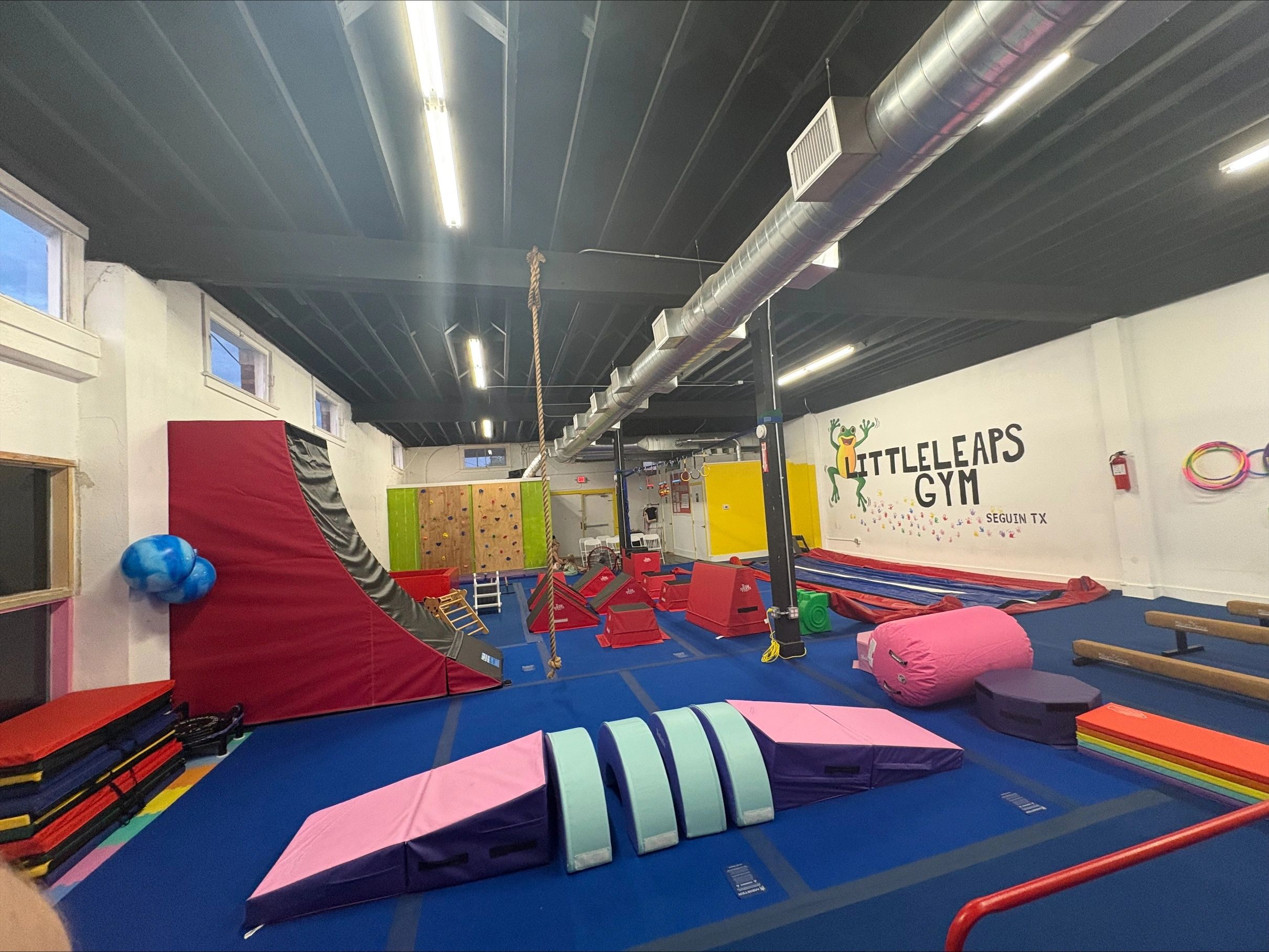 Little Leaps Toddler Gym