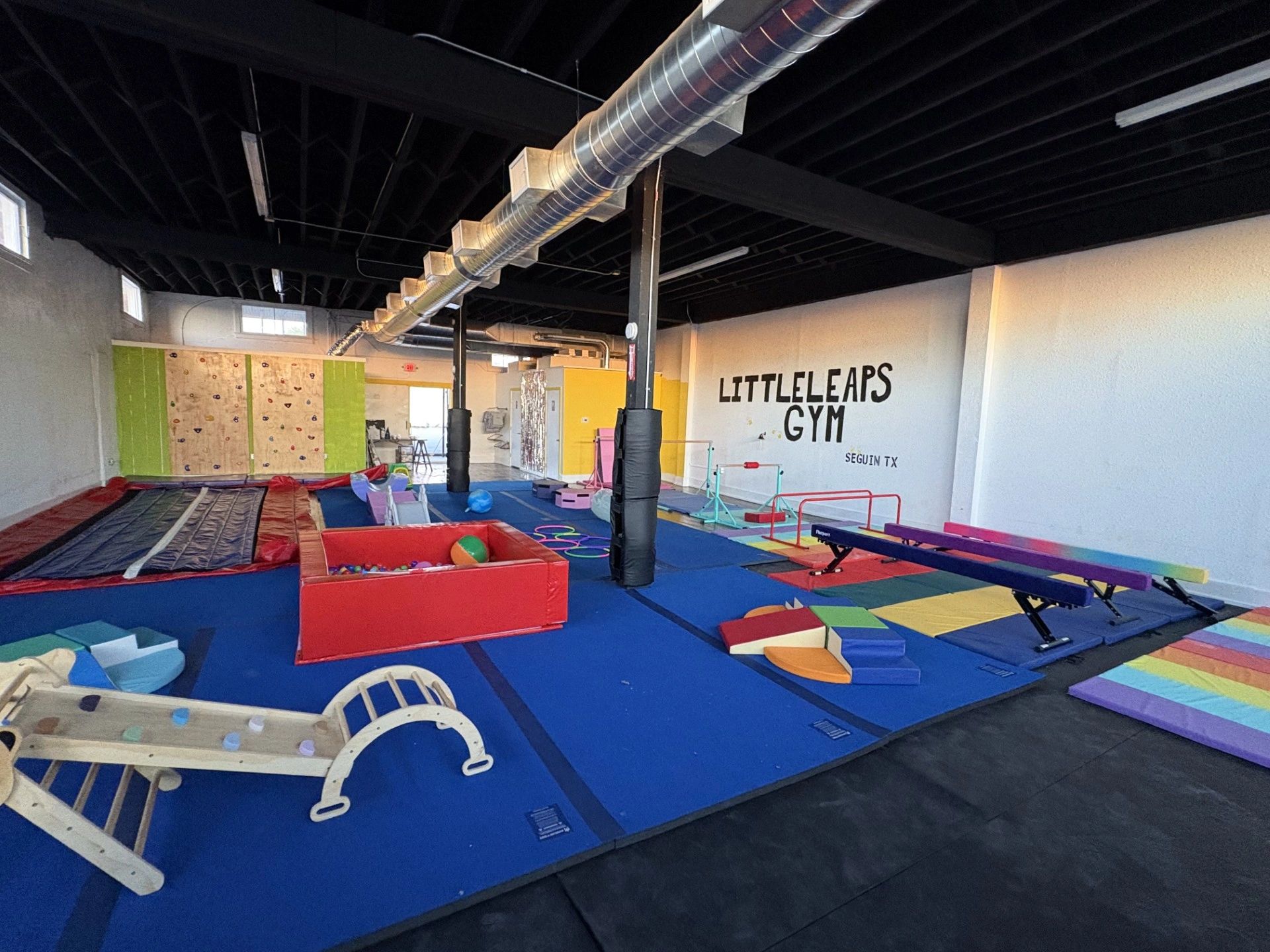 Little Leaps Toddler Gym