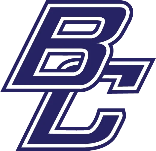 Home [bluechipbaseball.org]