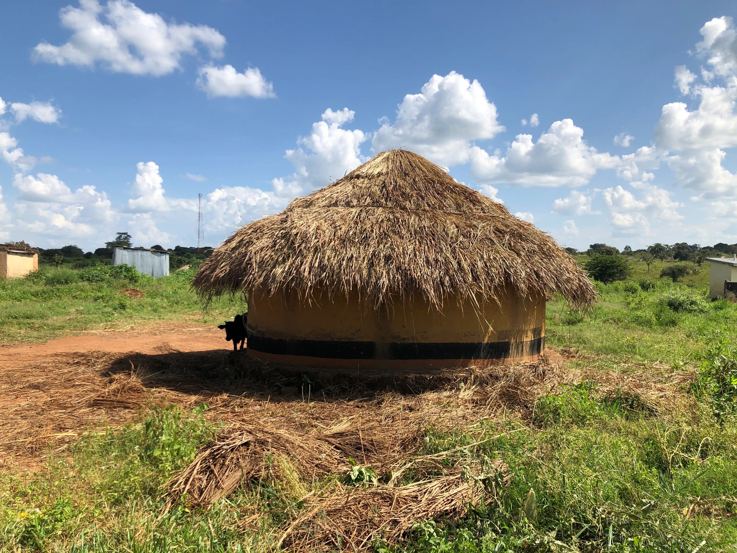 Water Tank | Project Safehouse
