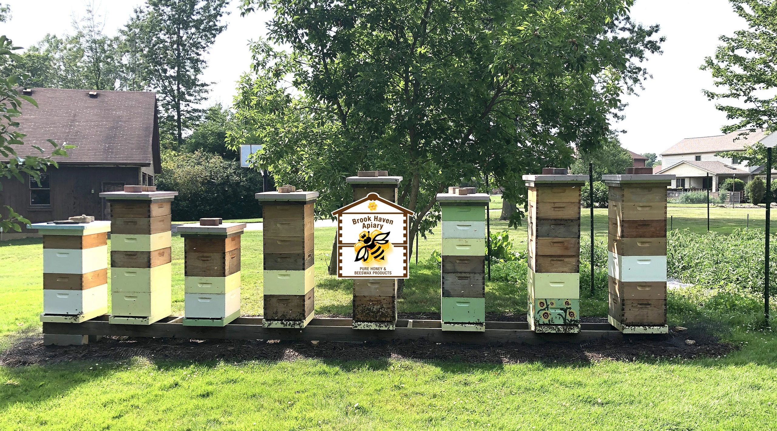 Brook Haven Apiary - Honeybee, Beeswax Lip Balm