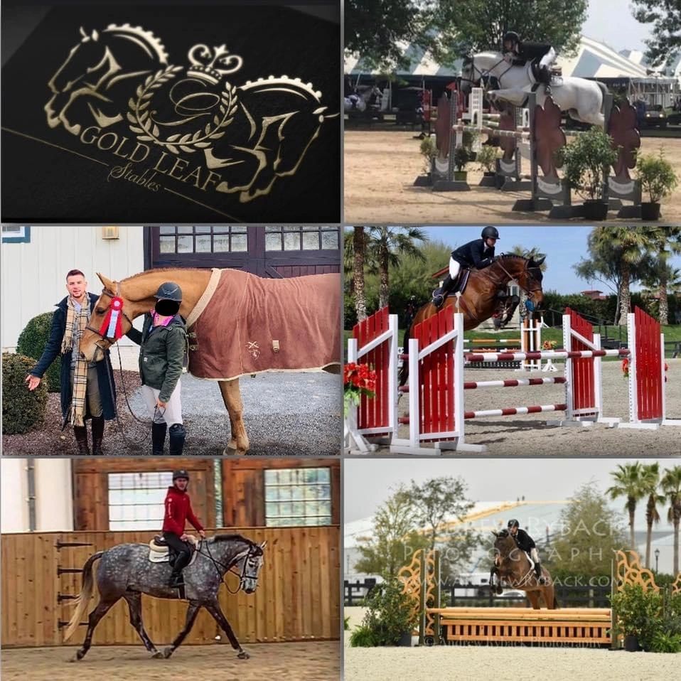 Gold Leaf Stables, LLC - Home