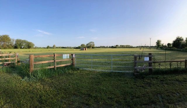 Pooch's Paddock
