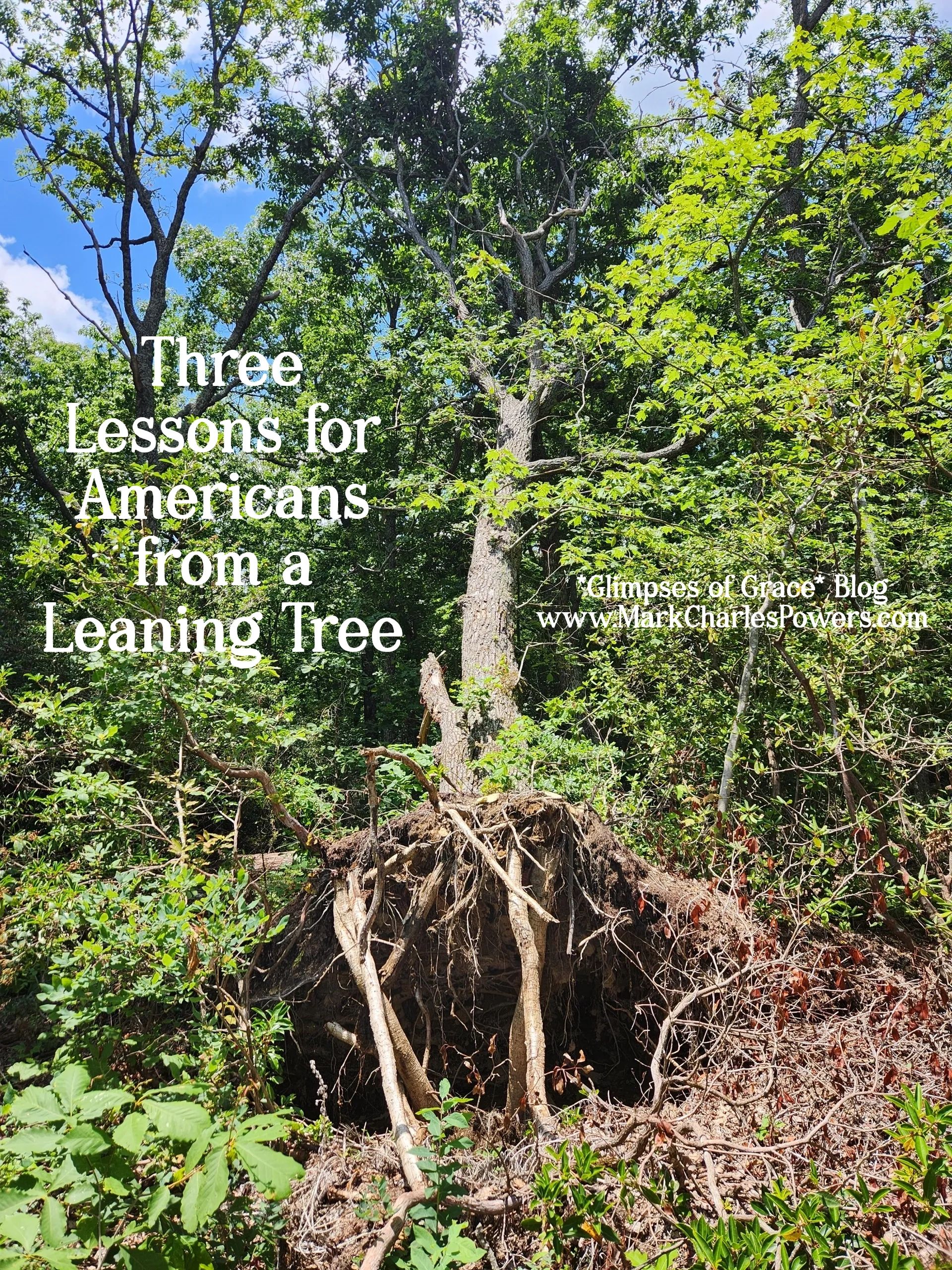 Three Lessons for Americans from a Leaning Tree