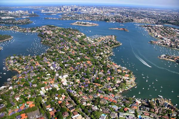 Buyers Agent - Spectre Real Estate