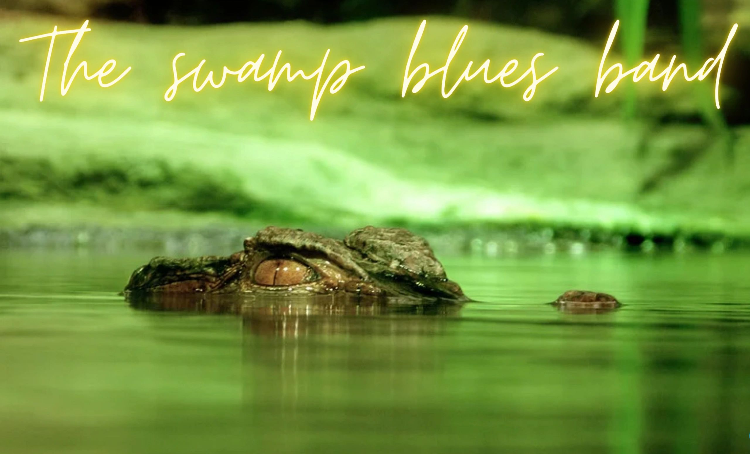 The Swamp Blues Band