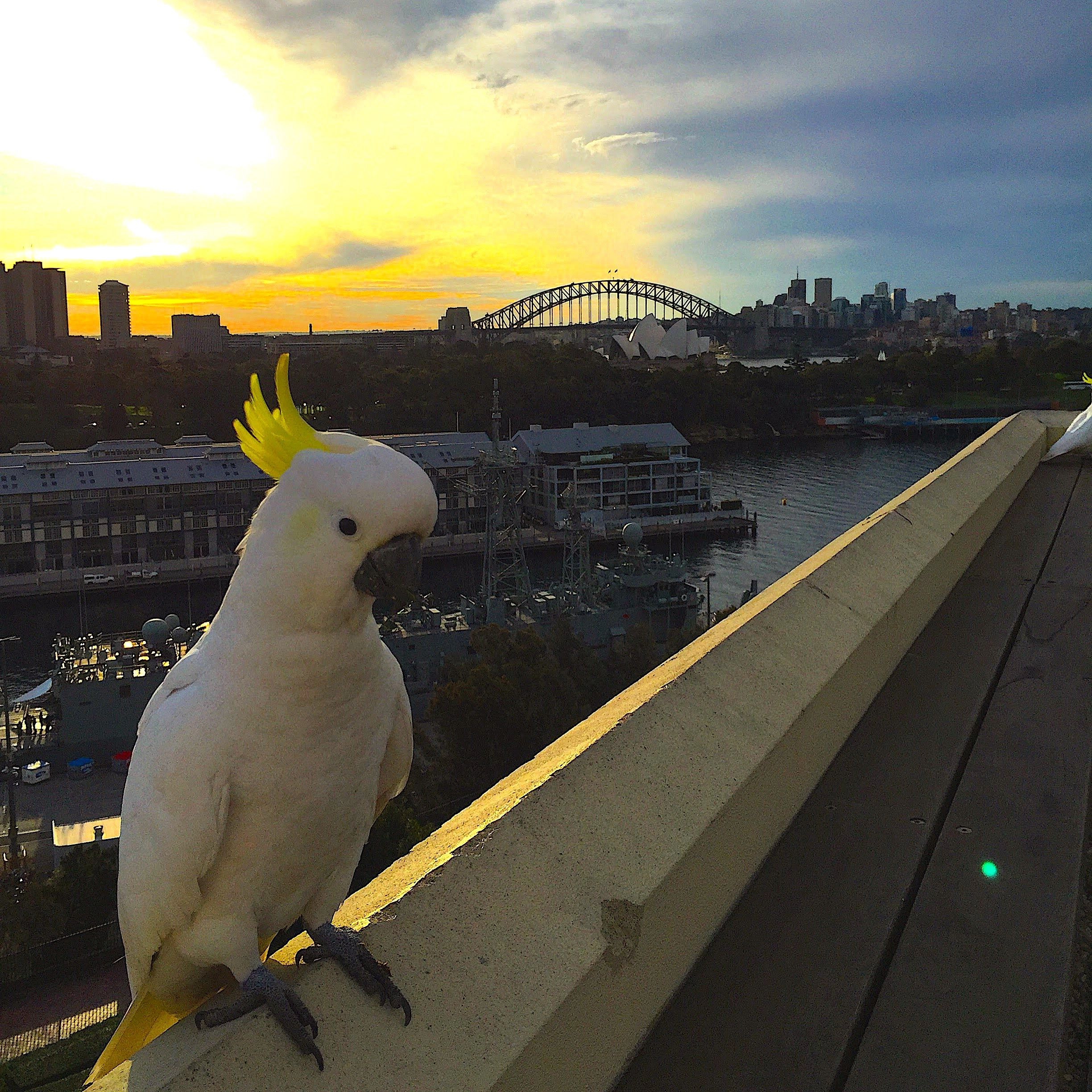 Gutter Cleaning - Gutterking gutter cleaning services