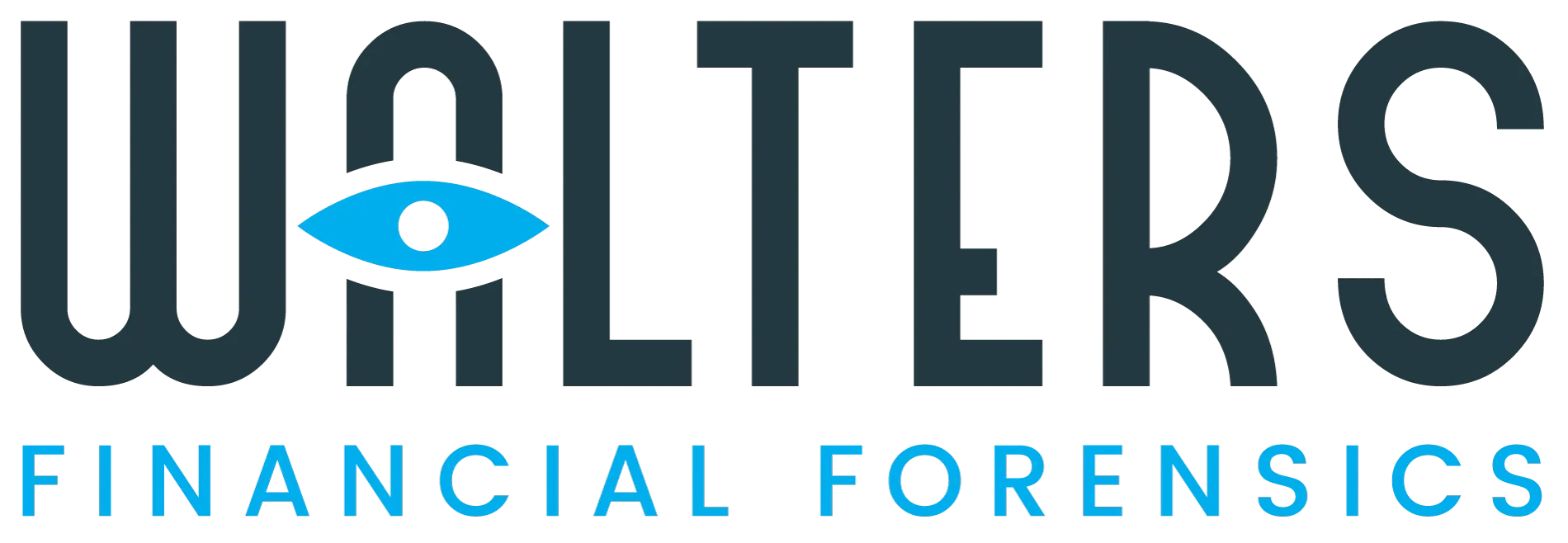 Walters Financial Forensics - Forensic Accounting, Business Valuation