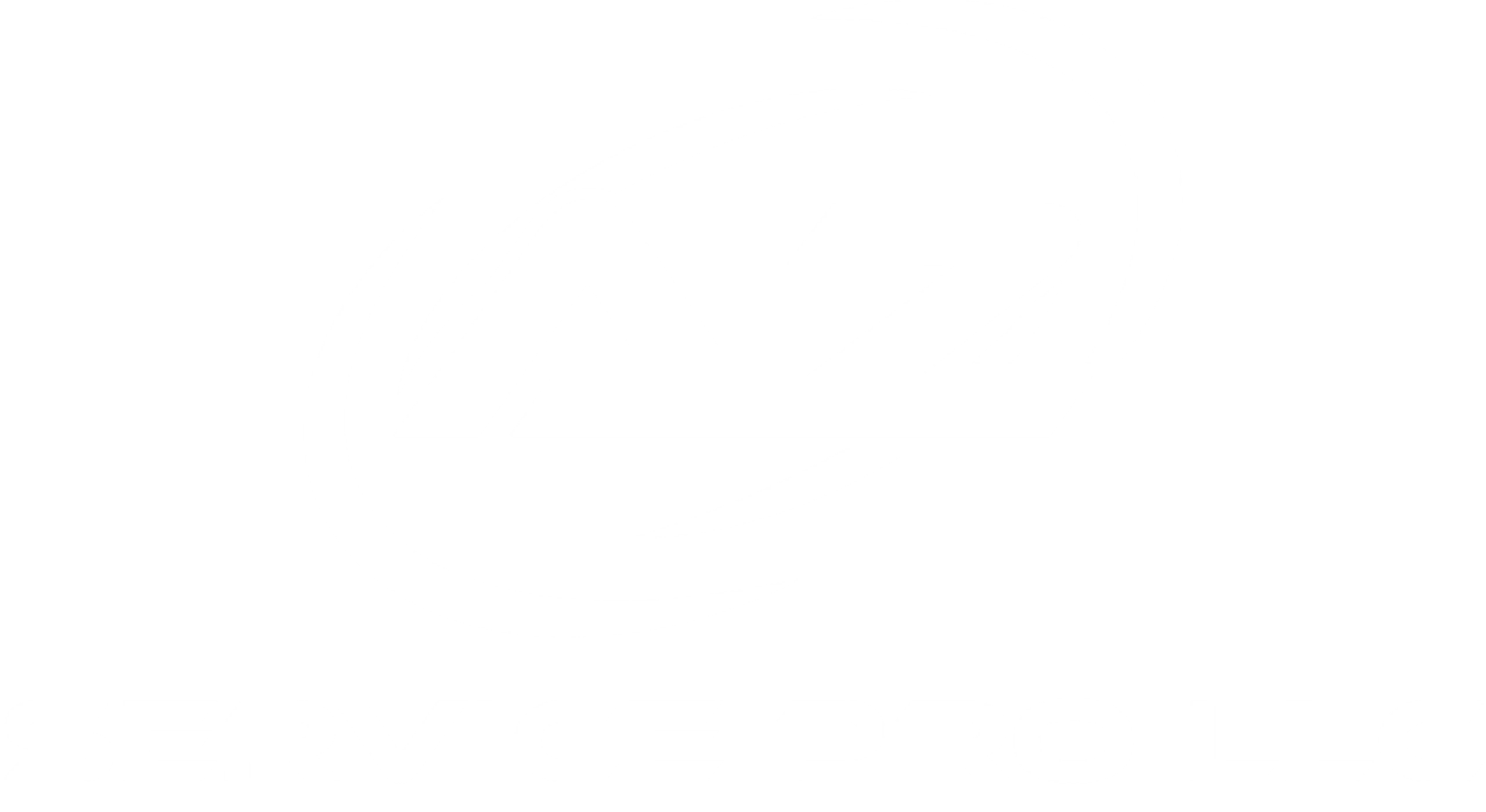 AZ Service Pro LLC