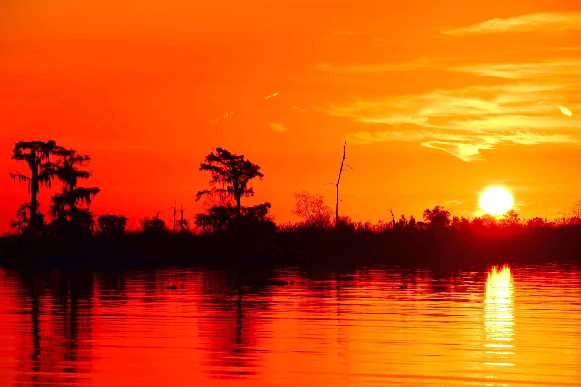 Tchefuncte River Charters - Swamp Cruise, Sightseeing River Cruises