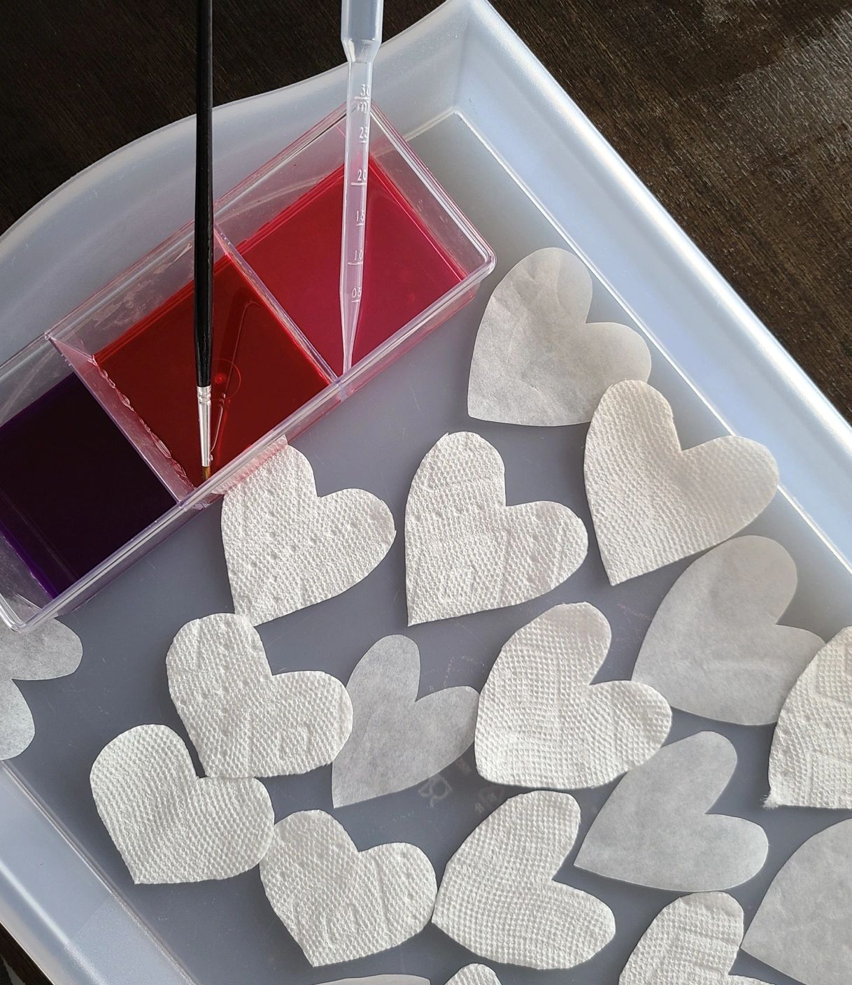 Valentine's Day Crafts : Heart Activity