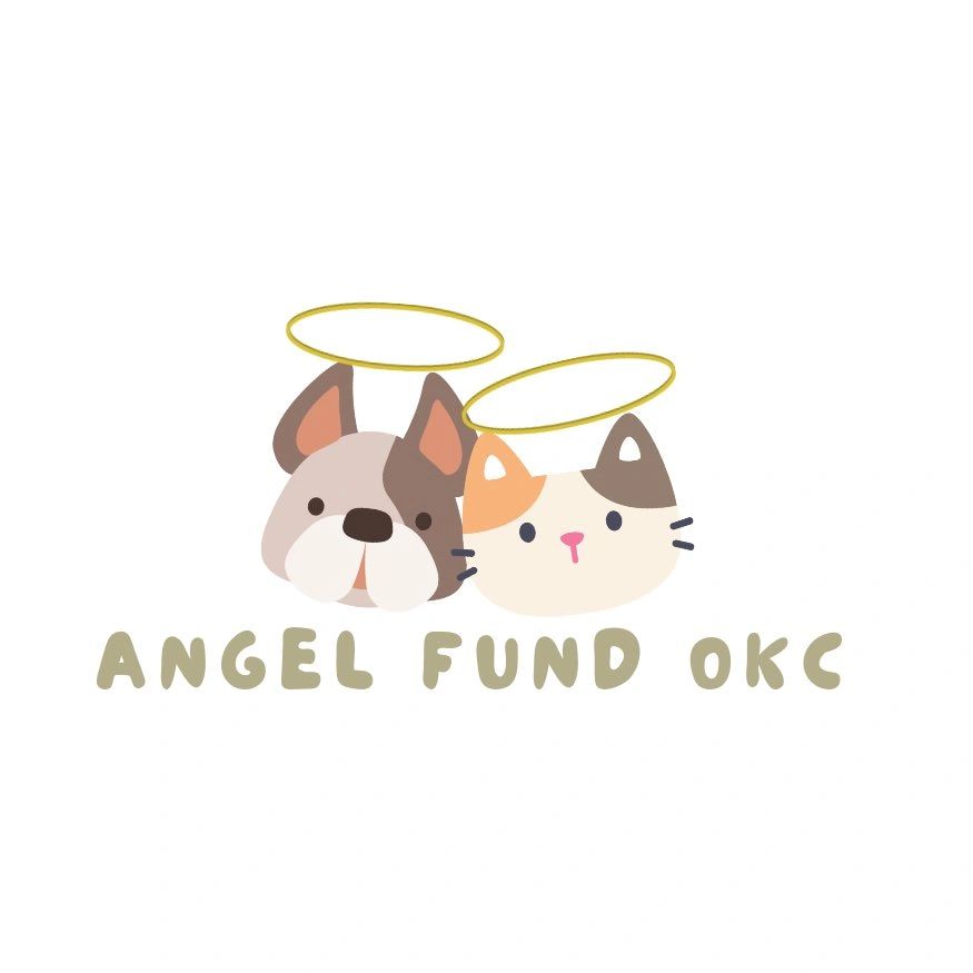 Online payment @ Angel Fund Okc