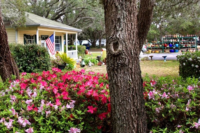 Suncoast Water Gardens, Inc - Home and Garden Store, Plants, Ponds