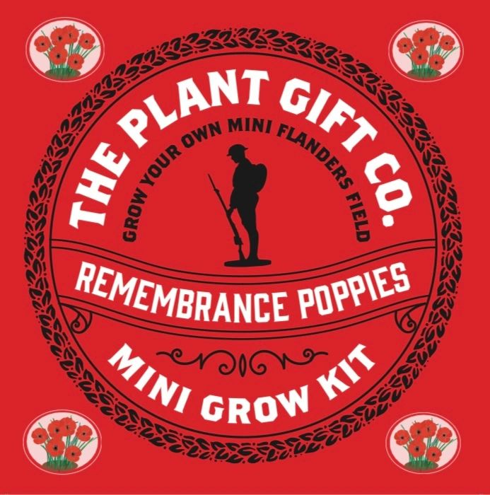 6 packets of Mini Remembrance Poppies Grow Kit.