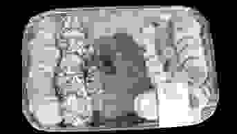 Cold Spring Bakery - Bakery - Cold Spring, Minnesota