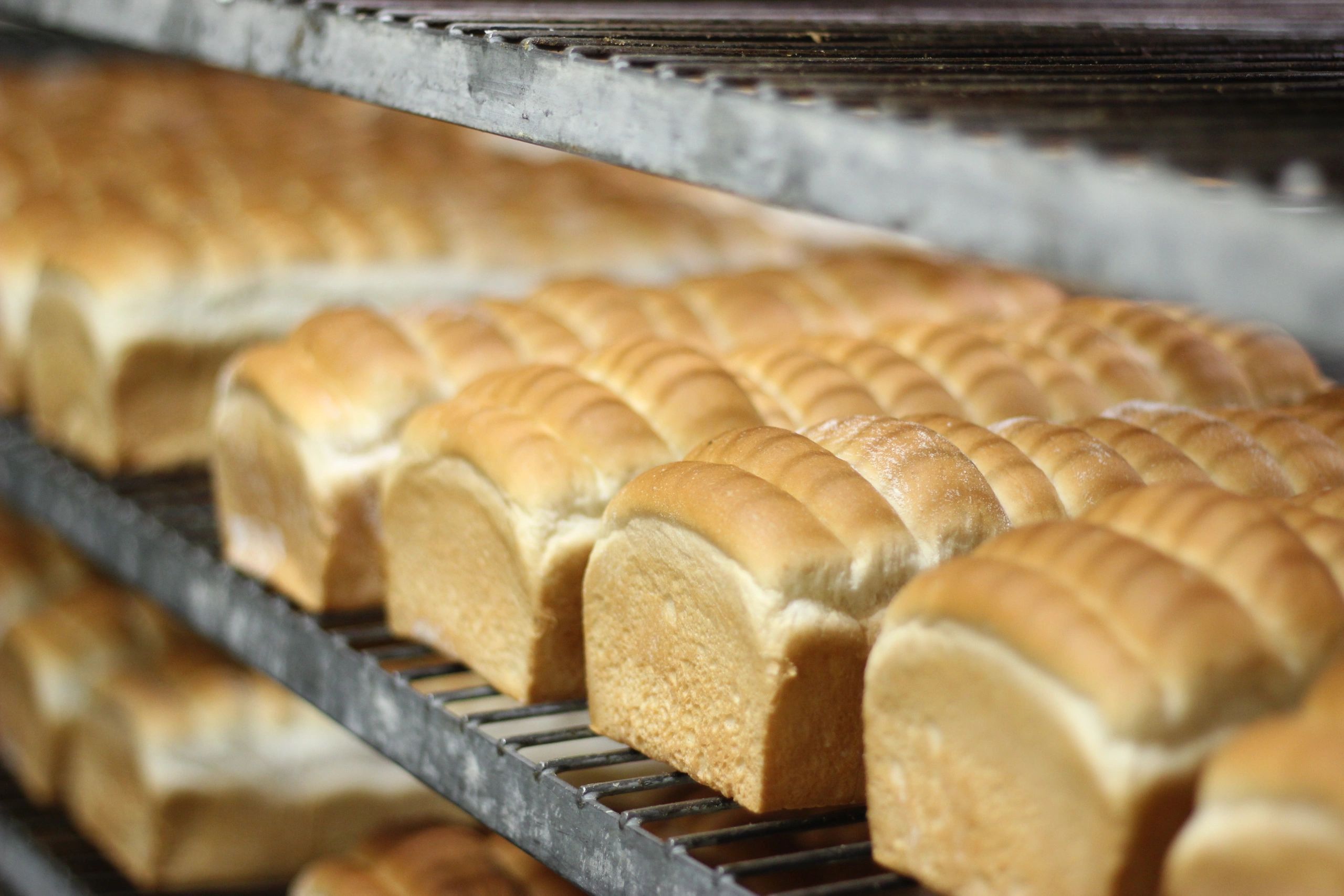 Cold Spring Bakery - Bakery - Cold Spring, Minnesota