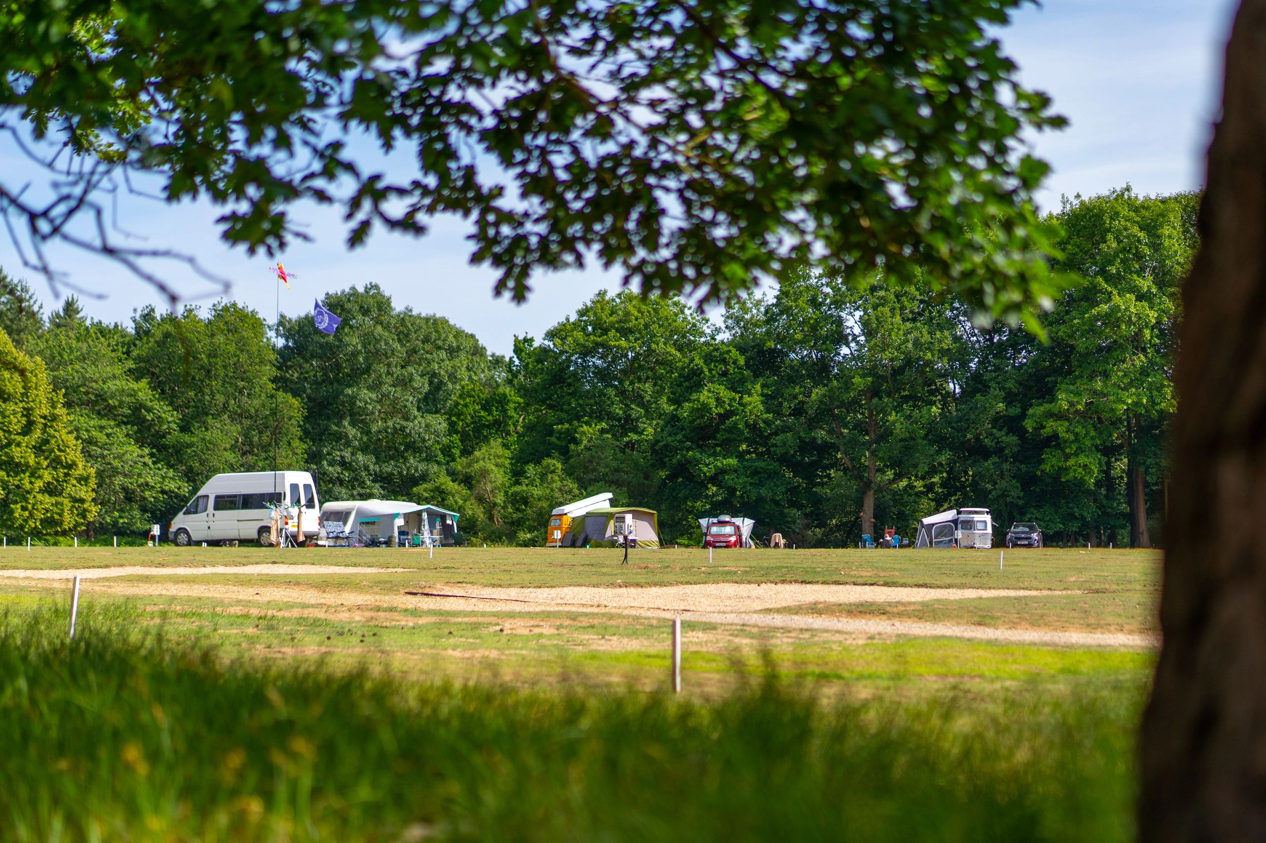 Explore Rendlesham Forest Campsites for Perfect Camping