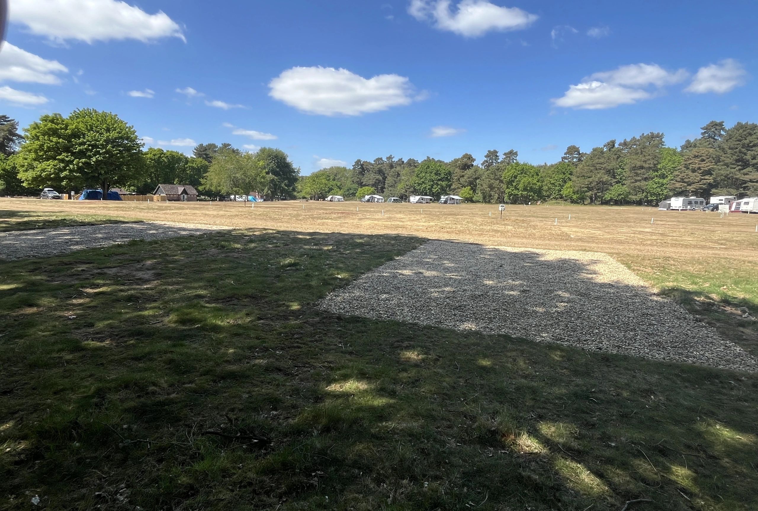 About | Forestry England Rendlesham Camping