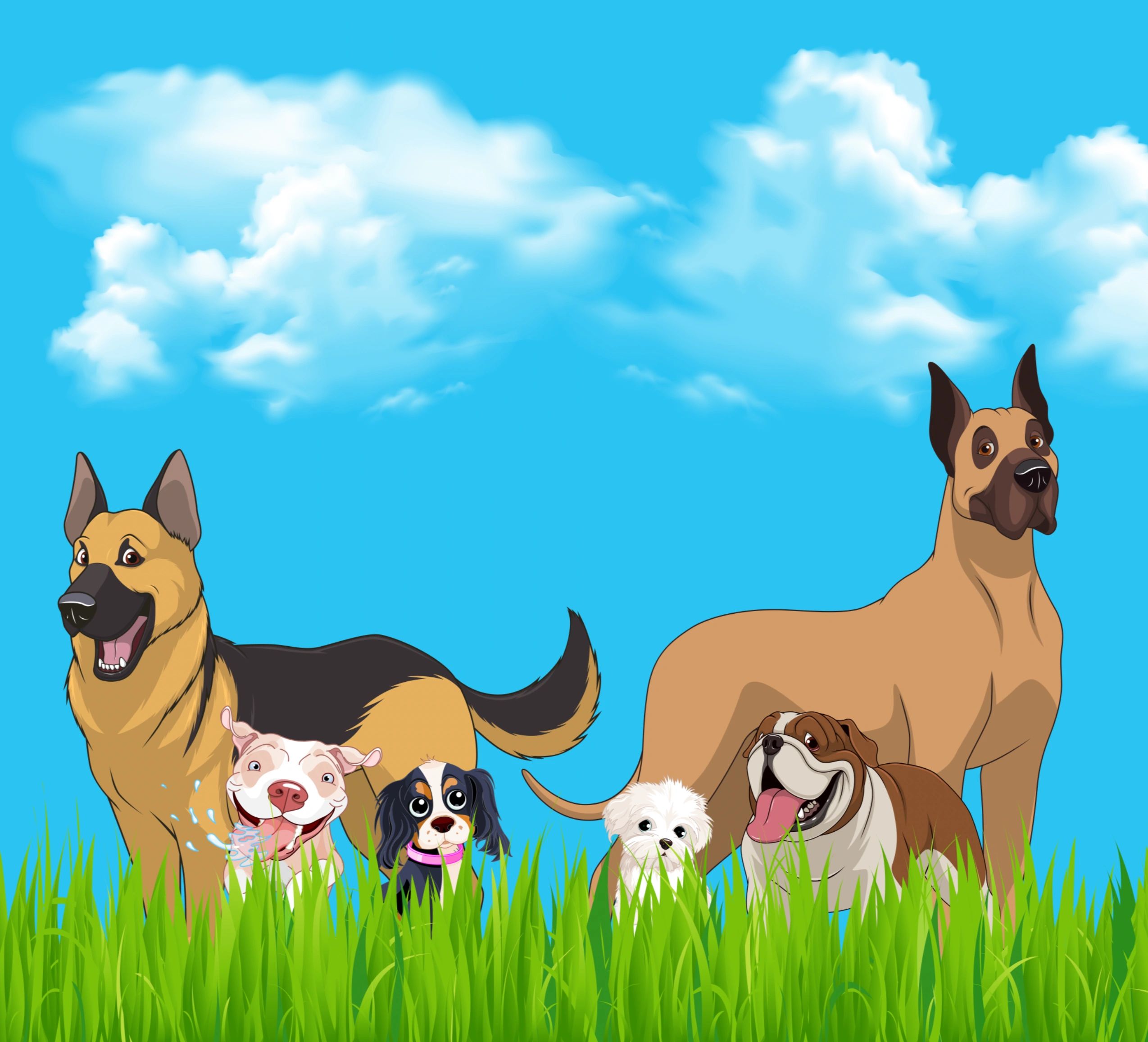 Furever Clean - Mobile Dog Grooming, Mobile Pet Grooming