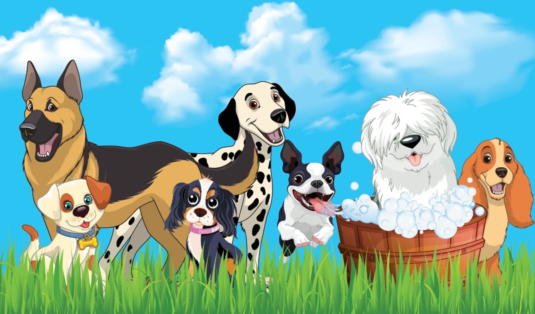 Furever Clean - Mobile Dog Grooming, Mobile Pet Grooming