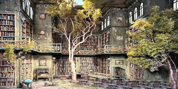 Rare Book Store - Find Your Next Treasure