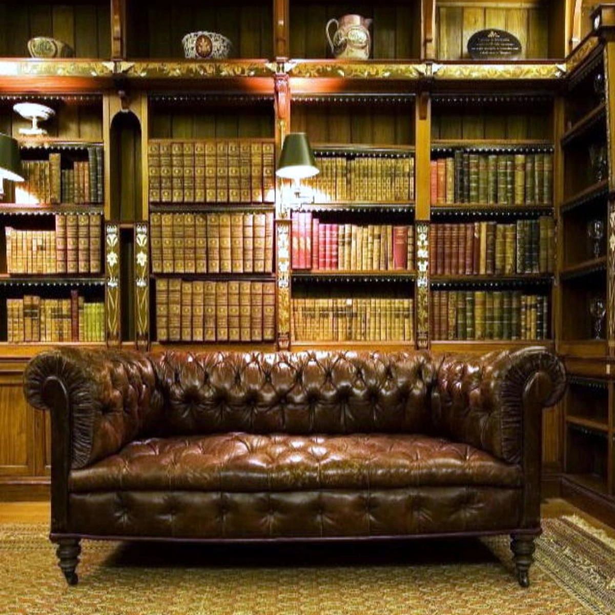 Rare Book Store - Find Your Next Treasure