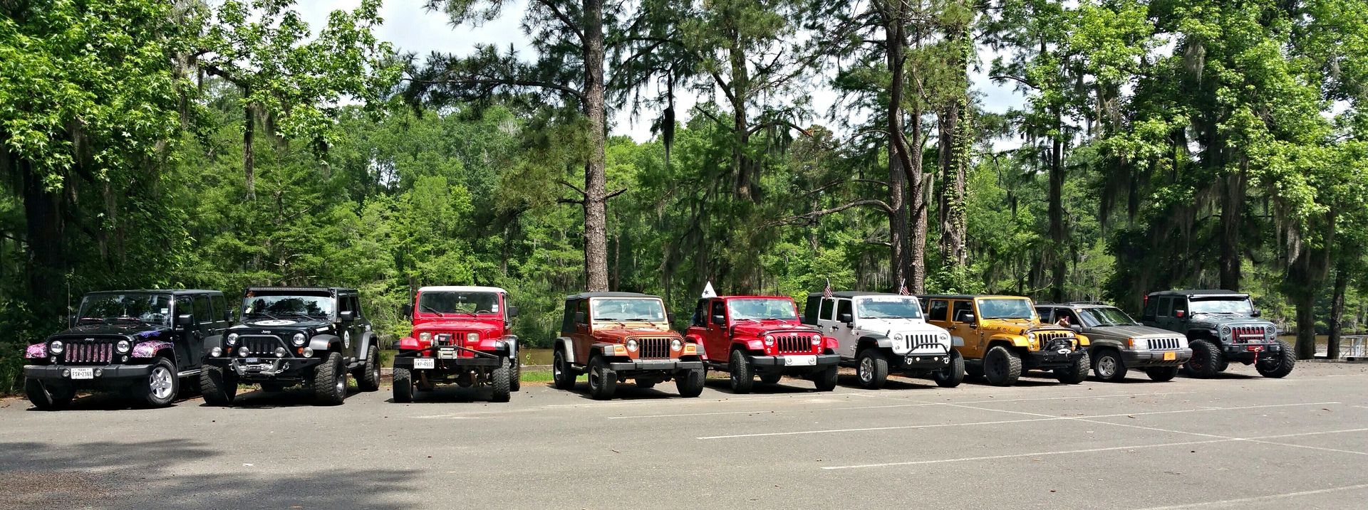 Explore Off-Roading Jeeps with Trail Lizards Jeep Club